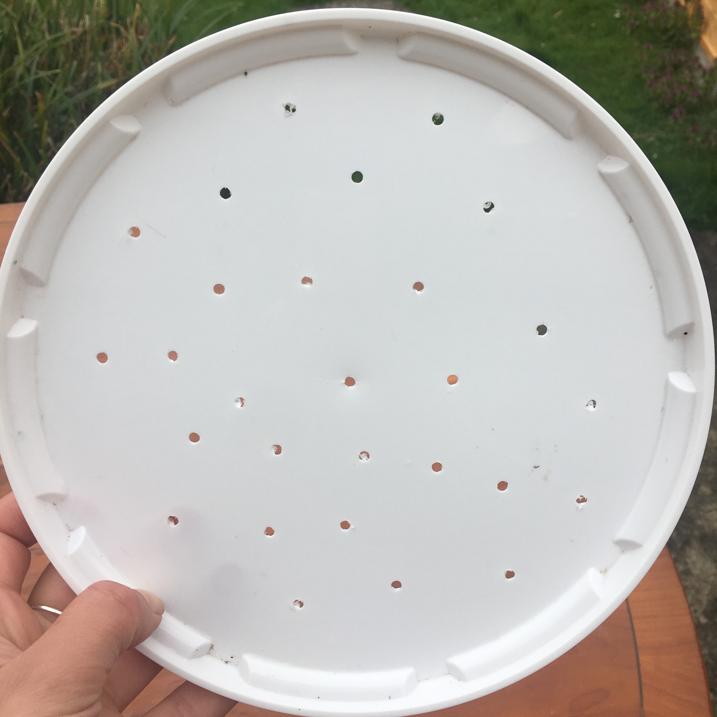 How to make a mini worm farm – Replenish