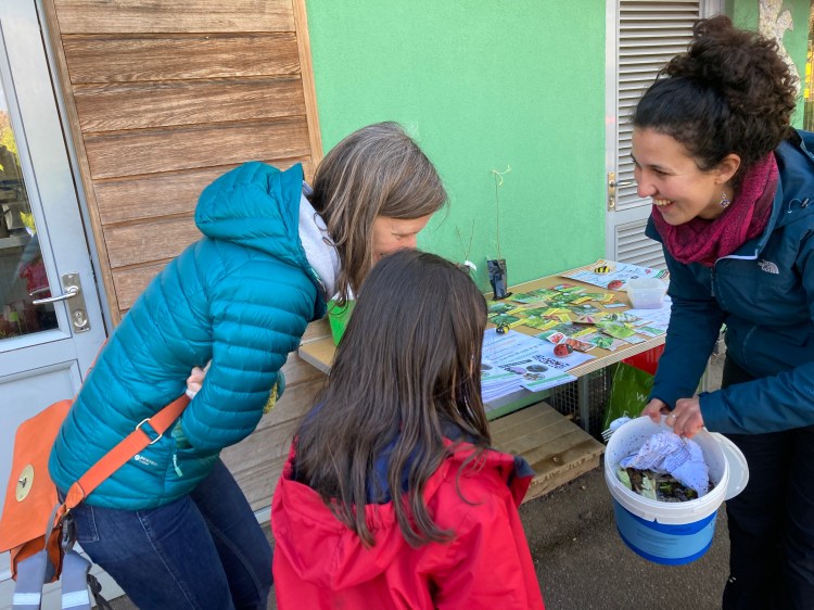 How to make a mini worm farm – Replenish