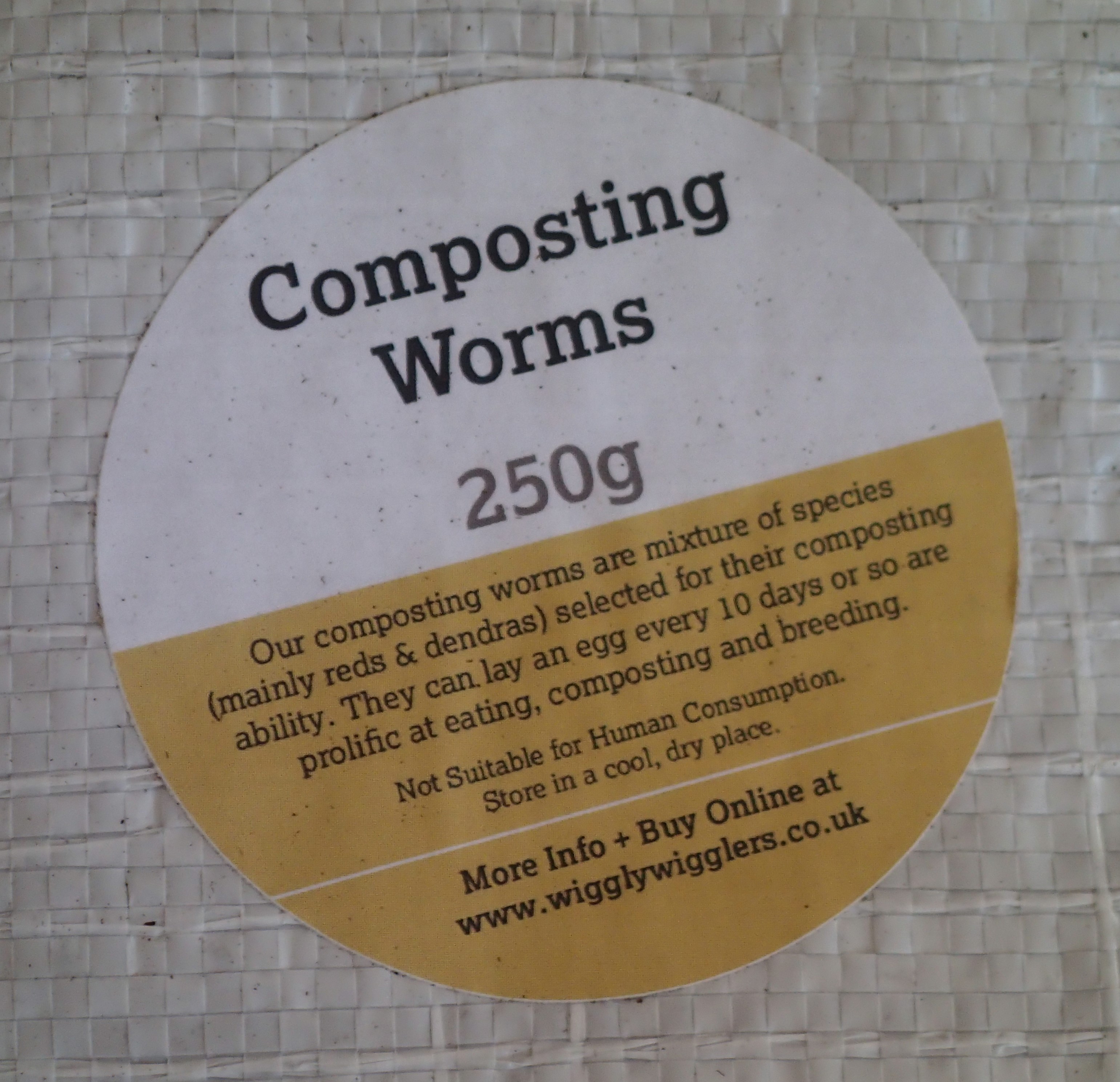 How to keep composting worms happy and healthy – Replenish