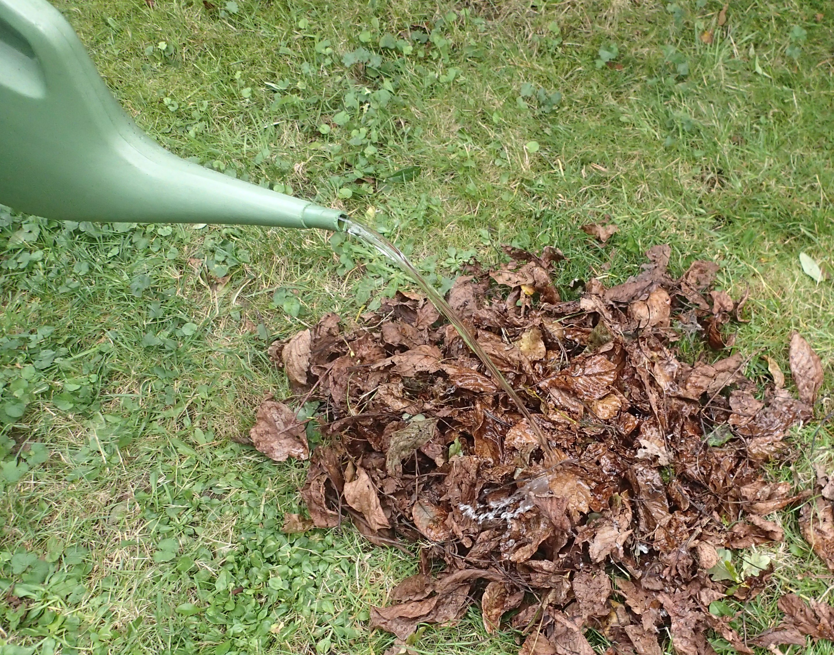 How to make leafmould – Replenish