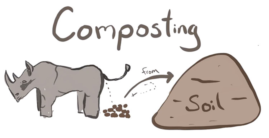 The Incredible Ecosystem Within Your Compost! – Replenish